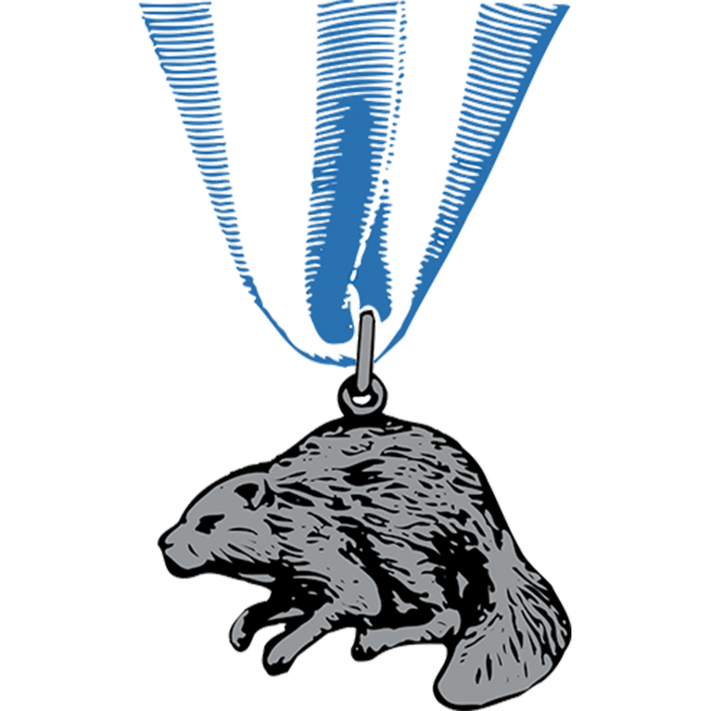 Silver Beaver Award - New Hampshire